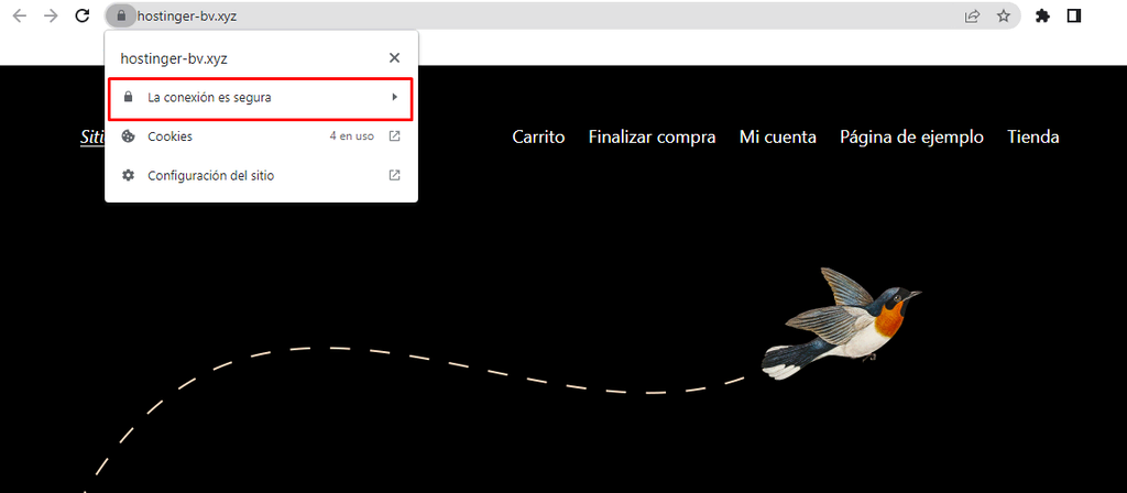 10 soluciones para el error NET::ERR_CERT_COMMON_NAME_INVALID