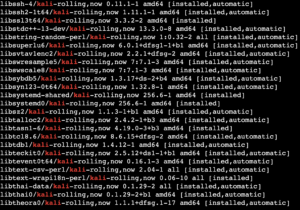 Tutorial de Kali Linux: acceso, comandos esenciales y consejos