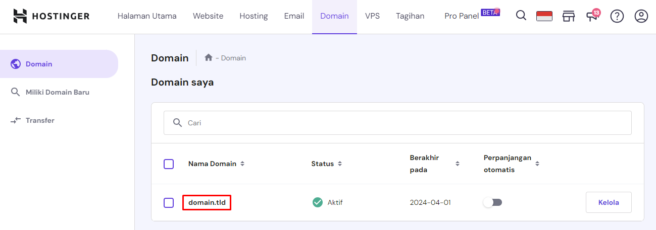 Cara Pointing Domain dengan Mengubah Nameserver