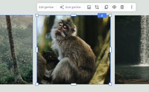 Cara Edit Website agar Konten dan Desainnya tetap Up-to-Date