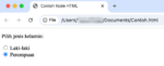 23 Contoh Coding HTML Sederhana yang Bisa Langsung Dicoba