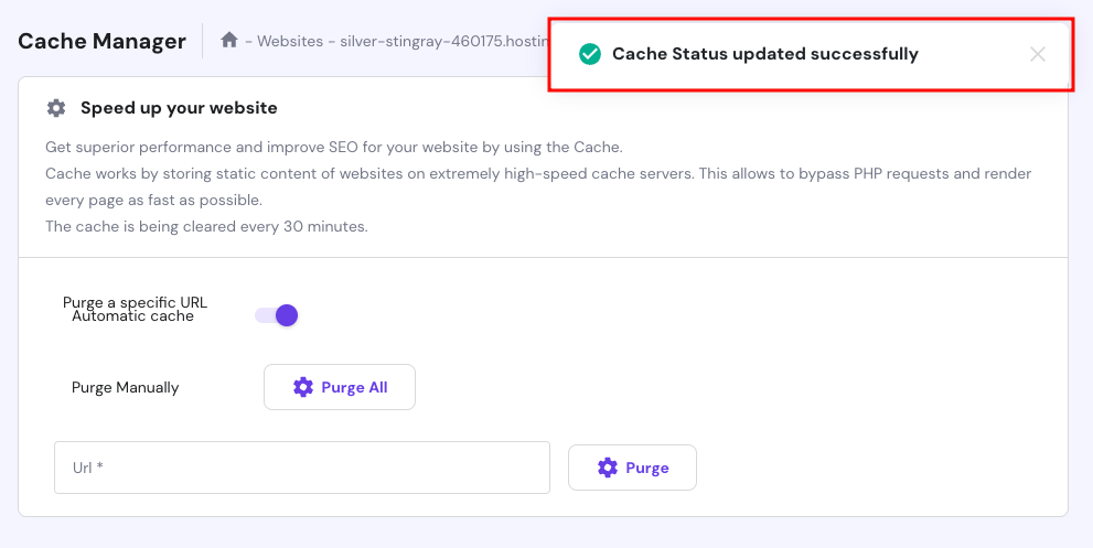 How to Clear Cache in WordPress: Top 6 Recommended Plugins