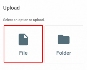 How to Insert an Image in HTML Easily in 6 Steps