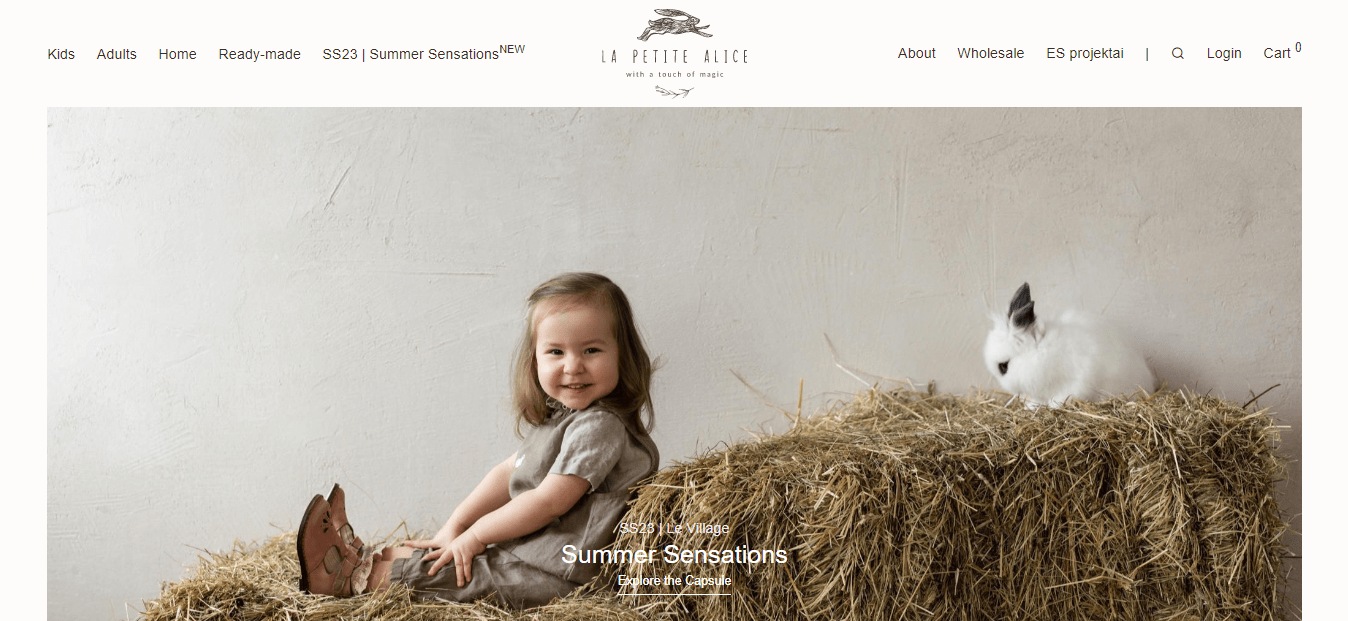 20 Best Small Business Website Examples for Inspiration