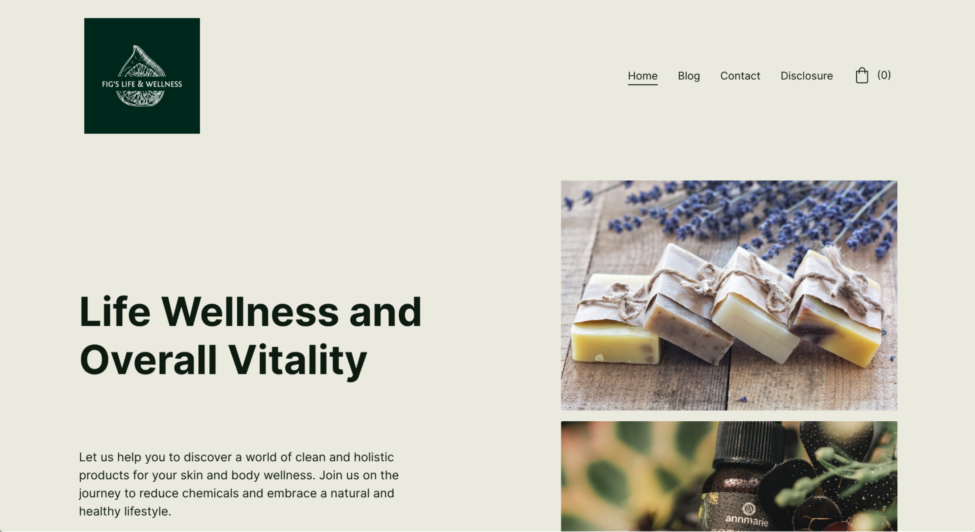 Top 16 Wellness Website Examples