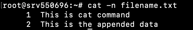 How to Use the Linux cat Command With Examples