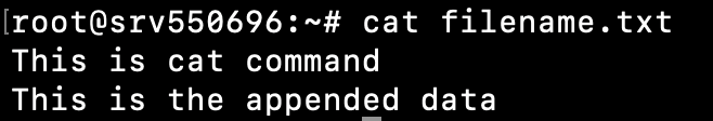 How to Use the Linux cat Command With Examples