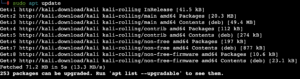 How to update Kali Linux: Upgrading packages to the latest version