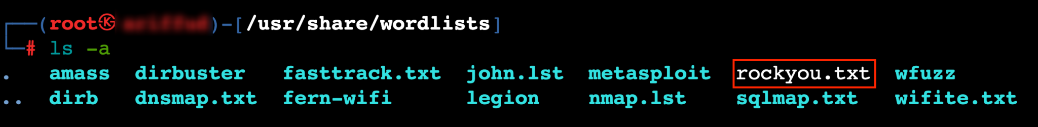 Kali Linux tutorial: Manage tools and run security tests