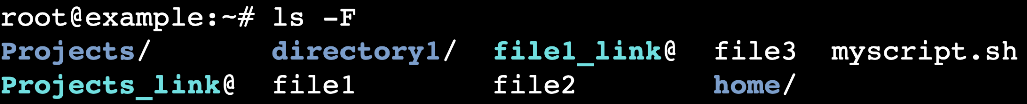 How to use the ls command in Linux?