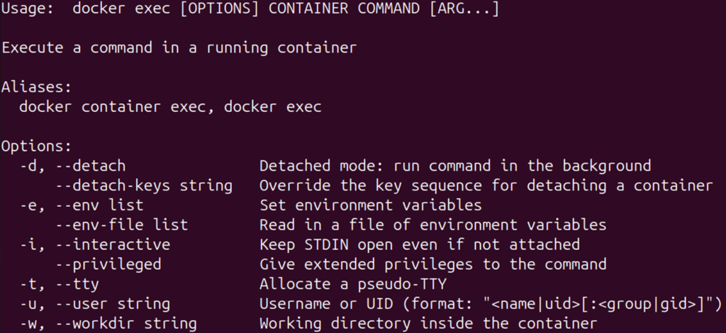 How to use docker exec command
