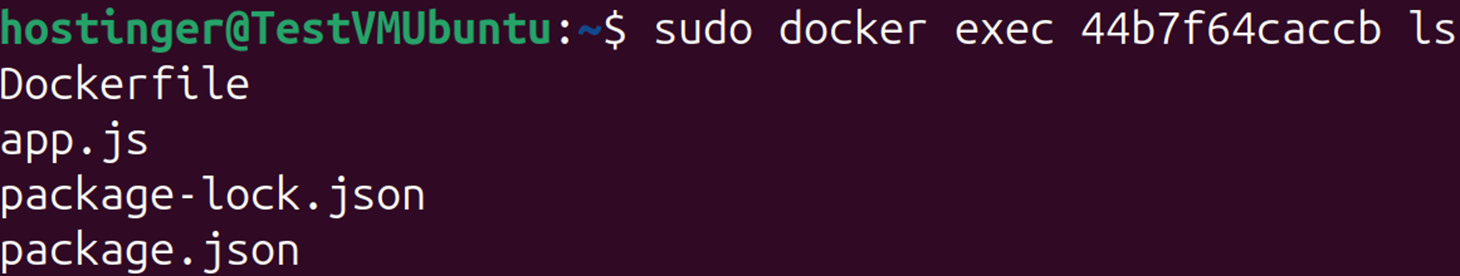 How to use docker exec command