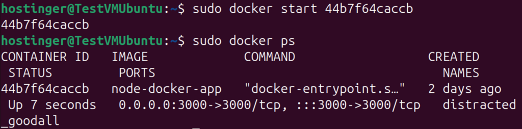 How to use docker exec command in containers