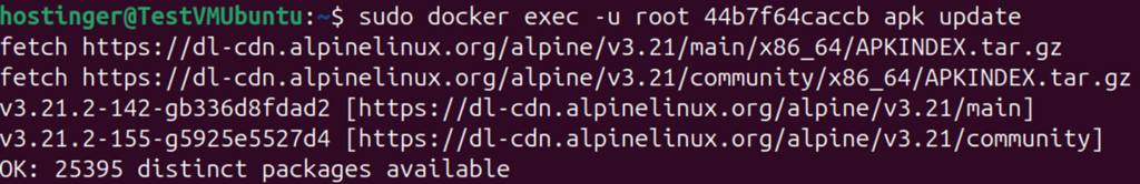 How to use docker exec command
