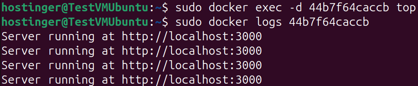 How to use docker exec command