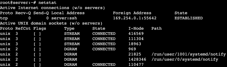 How to use the netstat command in Linux