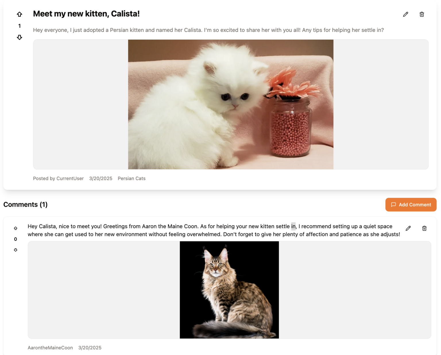 How to create a community web app