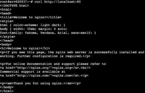 How to run Nginx in Docker