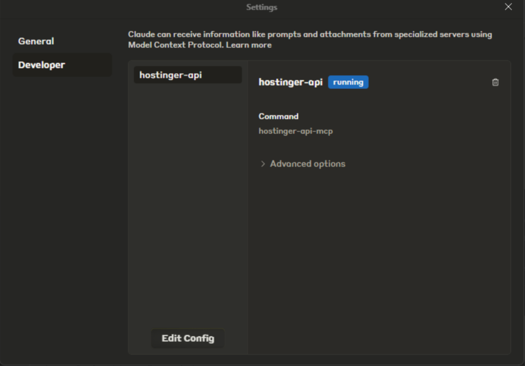 How to run Hostinger API MCP server