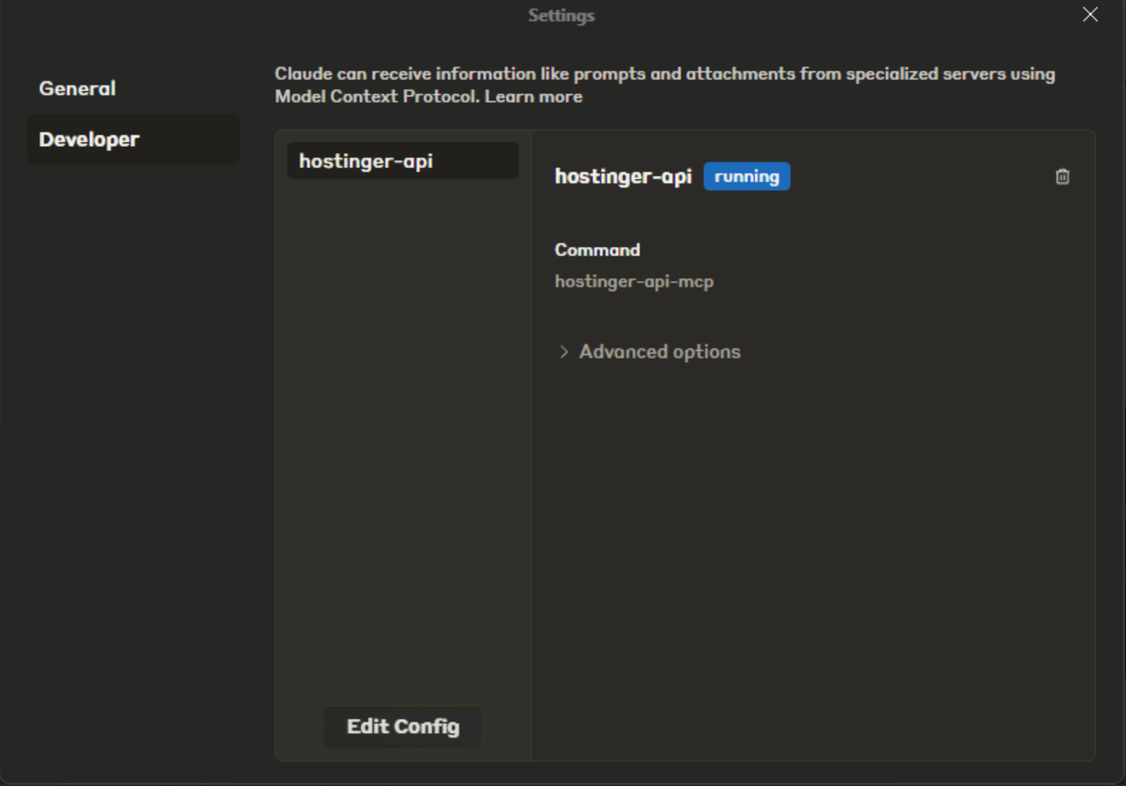 How to run Hostinger API MCP server