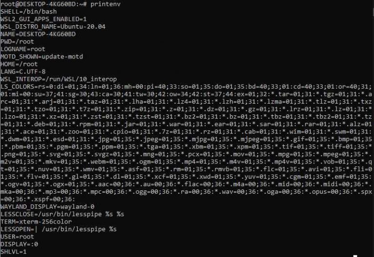 Qué son las variables en Bash y cómo usarlas en Linux