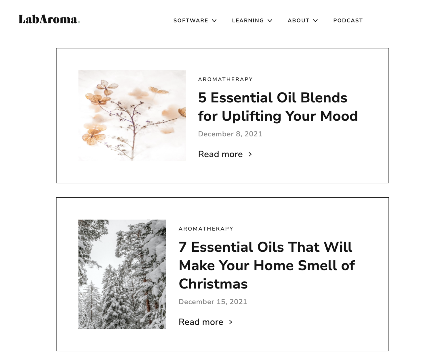 +25 Wellness Blog Post Ideas for 2025