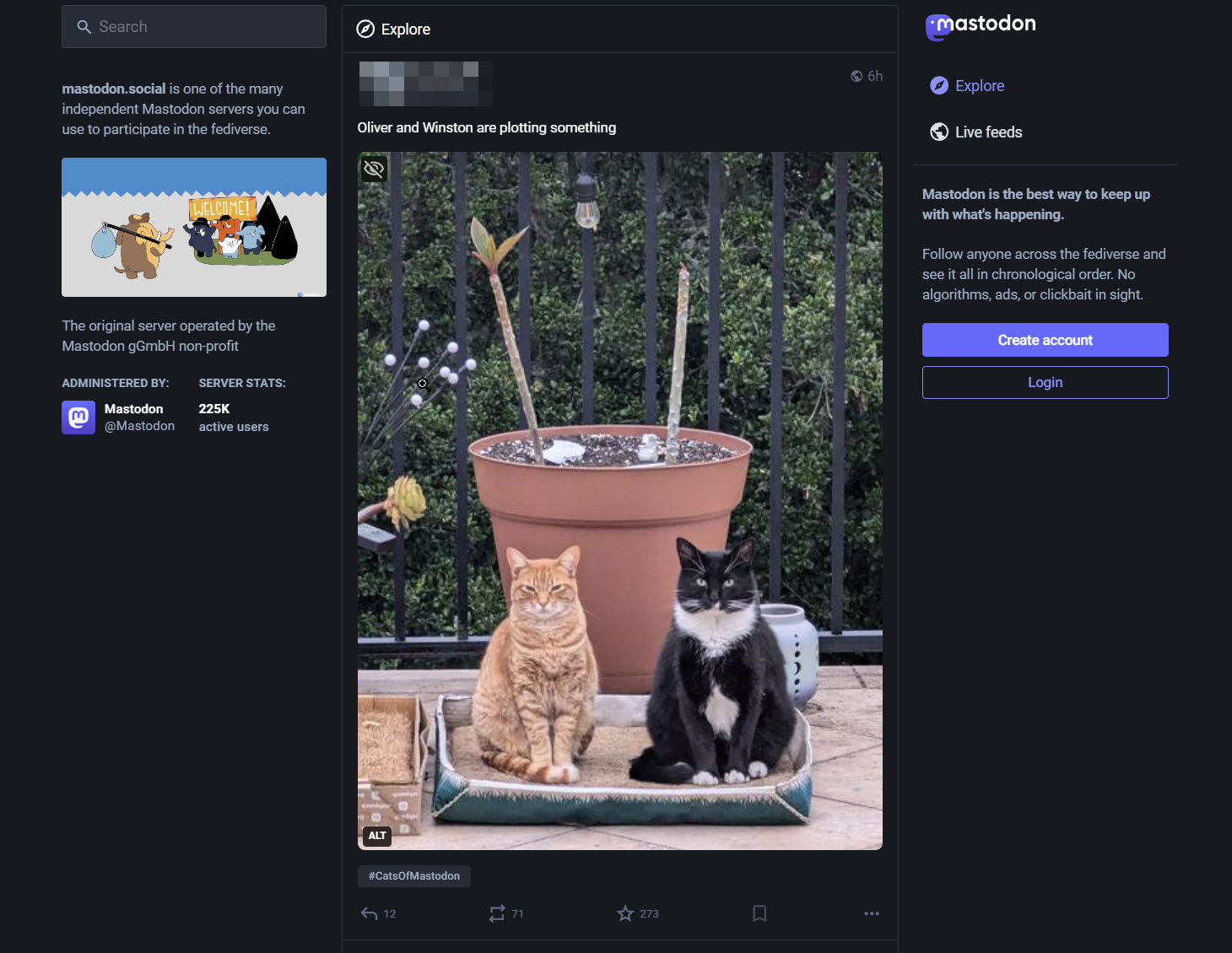 What is decentralized social media