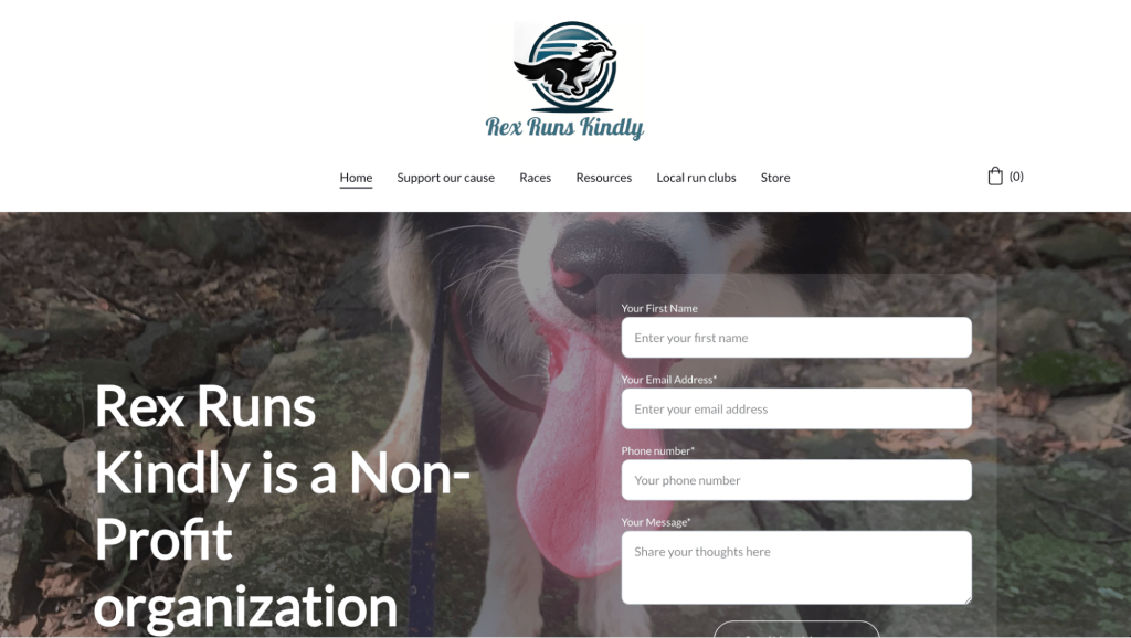 18 standout charity website examples for 2025