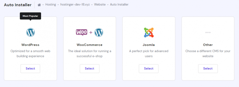 How to Use Hostinger to Make Your Business Succeed
