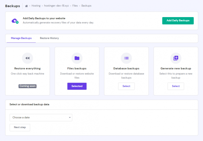 How to Use Hostinger to Make Your Business Succeed