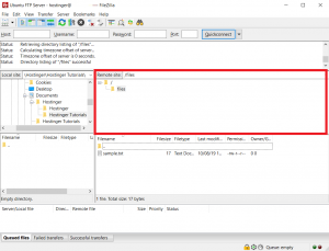 How to Set Up FTP Server on Ubuntu VPS: The Ultimate Guide