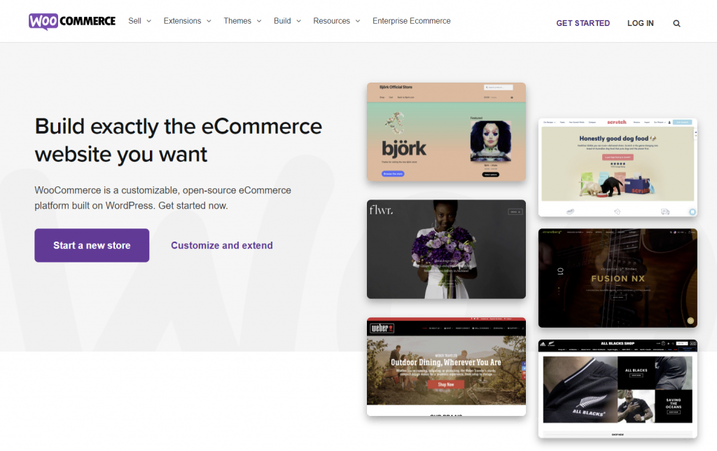 Top 9 WordPress ECommerce Plugins For Your Online Store 2024 