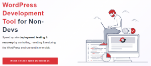 10 Best WordPress Database Plugins in 2024