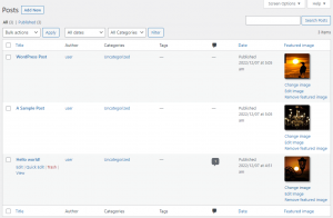 WordPress Featured Image: What Is It and How to Add Them