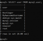 How to use the MySQL Show Users Command in Database