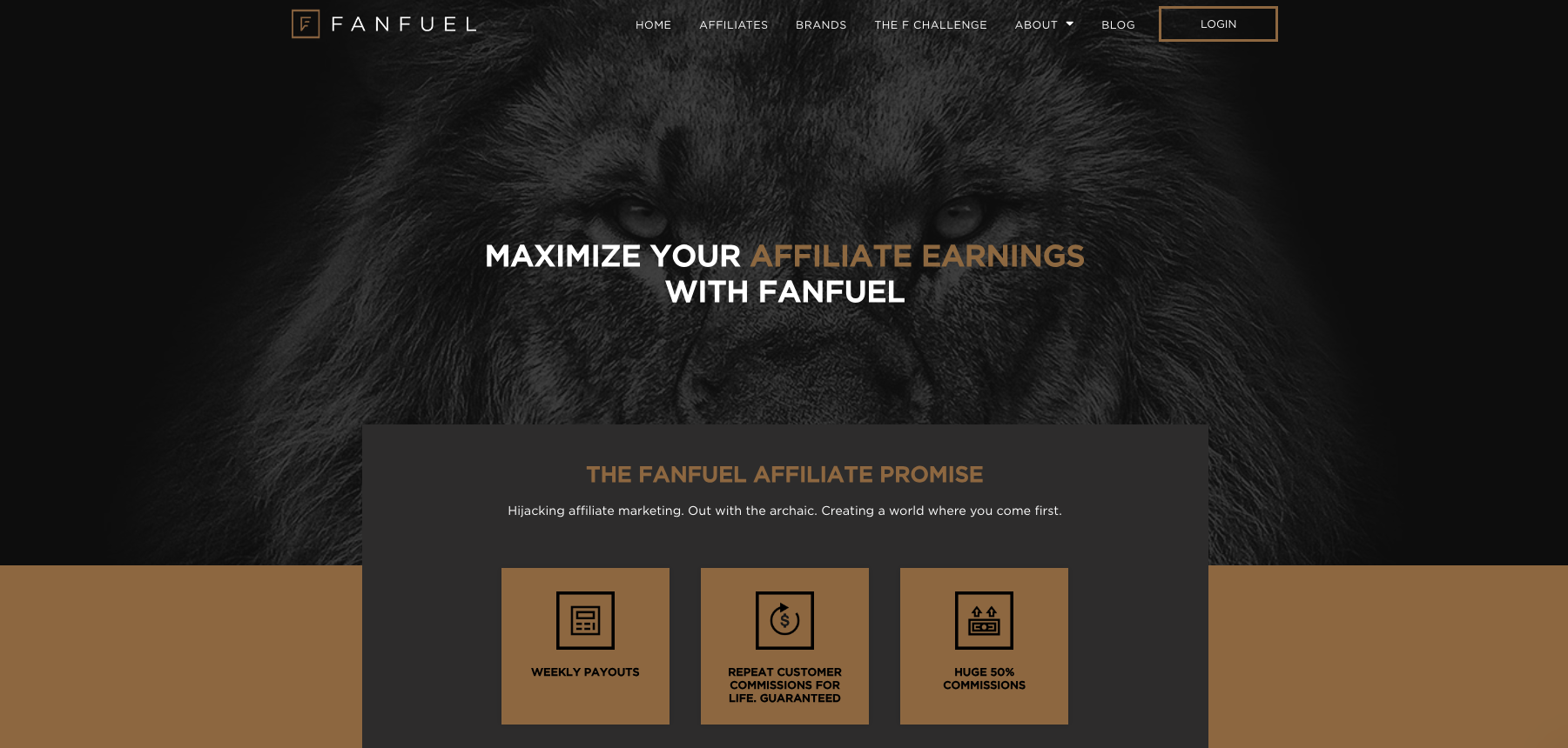 10 best affiliate marketing programs to make profit in 2025