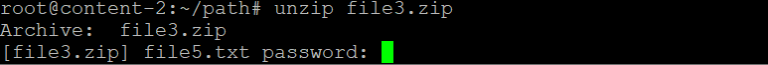 How to Unzip a File in Linux With Useful Command Examples