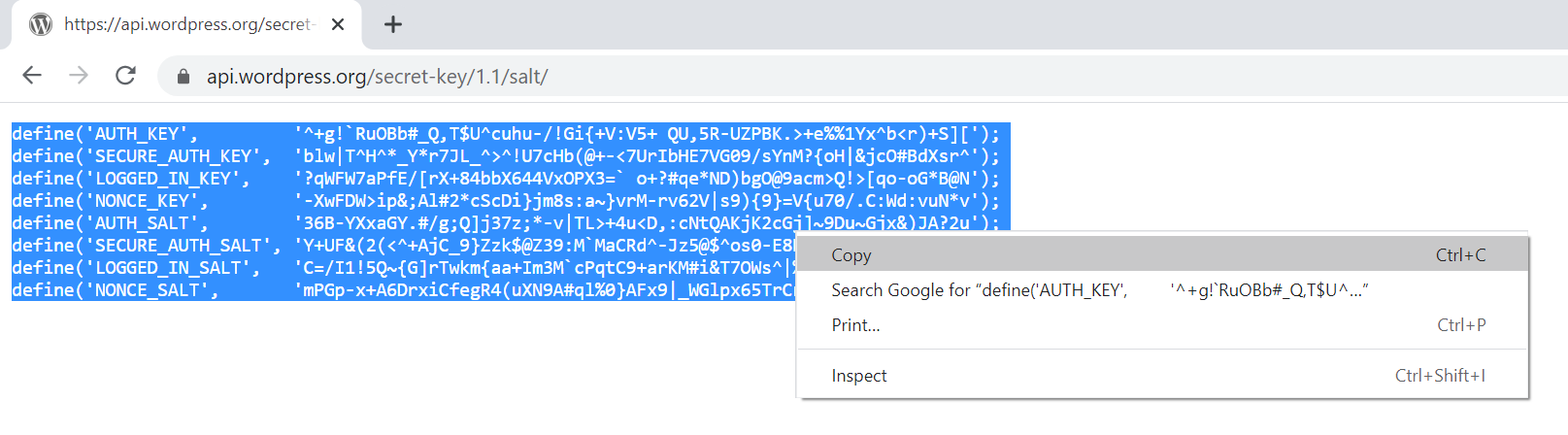 WordPress Salts: What They Are and Why Should You Use Them?