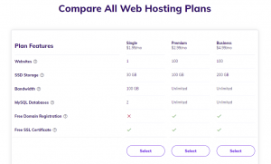 How to Host A Website: 4 Simple Steps and Why You Need It