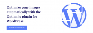 What Is WebP Image Format? A Guide for Beginners