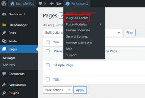 WordPress Changes Not Showing? 3 Methods to Fix It Right Away