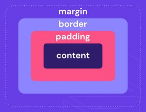 Padding vs Margin: What’s the Difference in CSS?