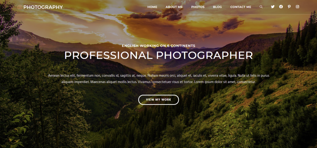 25 Best WordPress Photography Themes