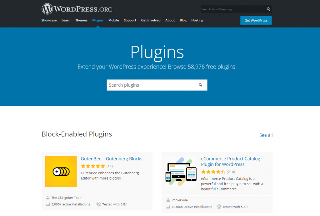 Website Builder vs WordPress: Which One Is for You?