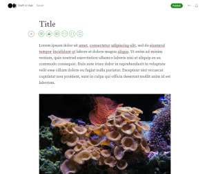 7 Best Blogging Platforms in 2024 and How to Choose One