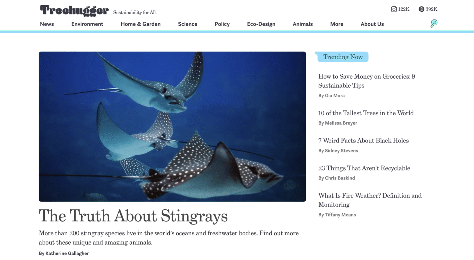 55 best blog examples to inspire your blogging journey in 2025