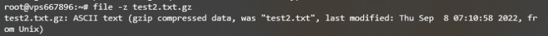 What Is Linux File Command and How To Determine File Type