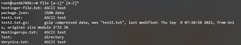 What Is Linux File Command And How To Determine File Type
