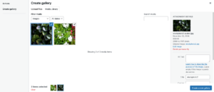 What is WordPress Gutenberg: In-depth tutorial