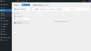WordPress File Manager: Best Plugins and How to Create One
